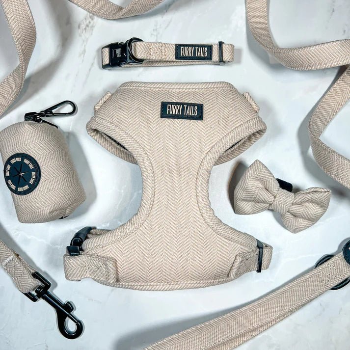 Shop Exquisite Dog Accessories | The Cambridge Dog Co. | Order Now